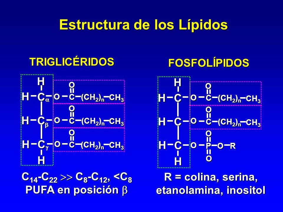 ESTRUCTURA DE LOS LIPIDOS - Curso en Linea para el Examen de la UNAM