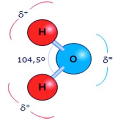 COMPOSICIÓN DEL AGUA Y ESTRUCTURA MOLECULAR - Curso para la UNAM