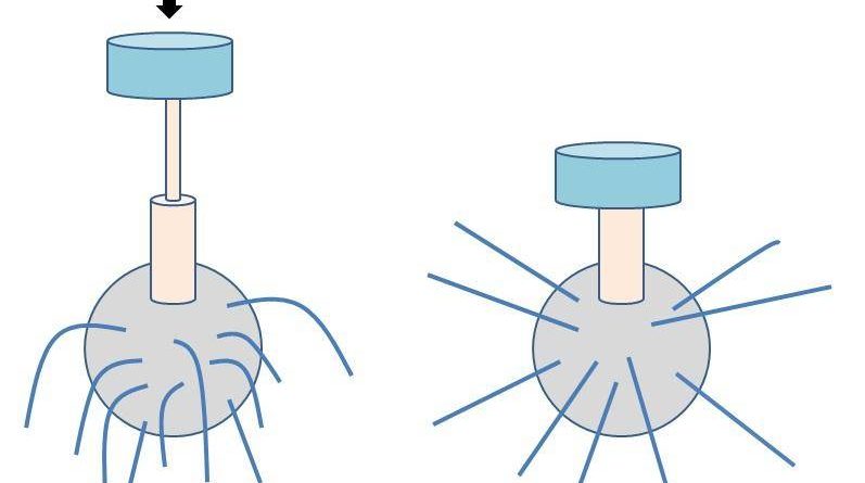 PRINCIPIO DE PASCAL - Curso en Linea para el Examen de la UNAM