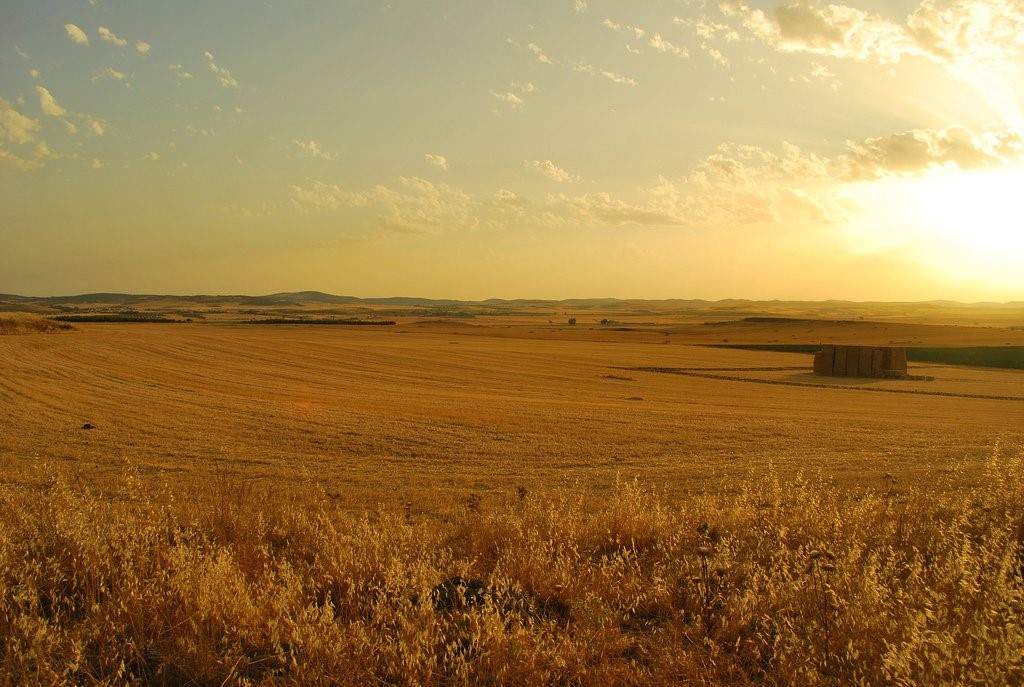 DISTRIBUCIÓN DE LAS LLANURAS, MESETAS MONTAÑAS MÁS REPRESENTATIVAS DEL ...