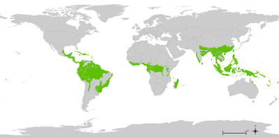 DISTRIBUCIÓN DE LAS REGIONES NATURALES EN EL MUNDO Y EN MÉXICO - Curso ...