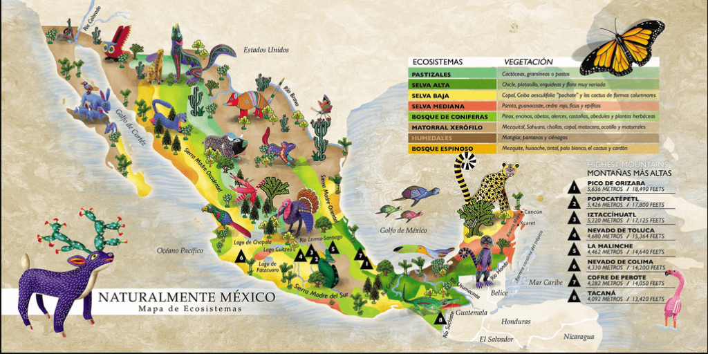 DISTRIBUCIÓN DE LAS REGIONES NATURALES EN EL MUNDO Y EN MÉXICO - Curso ...